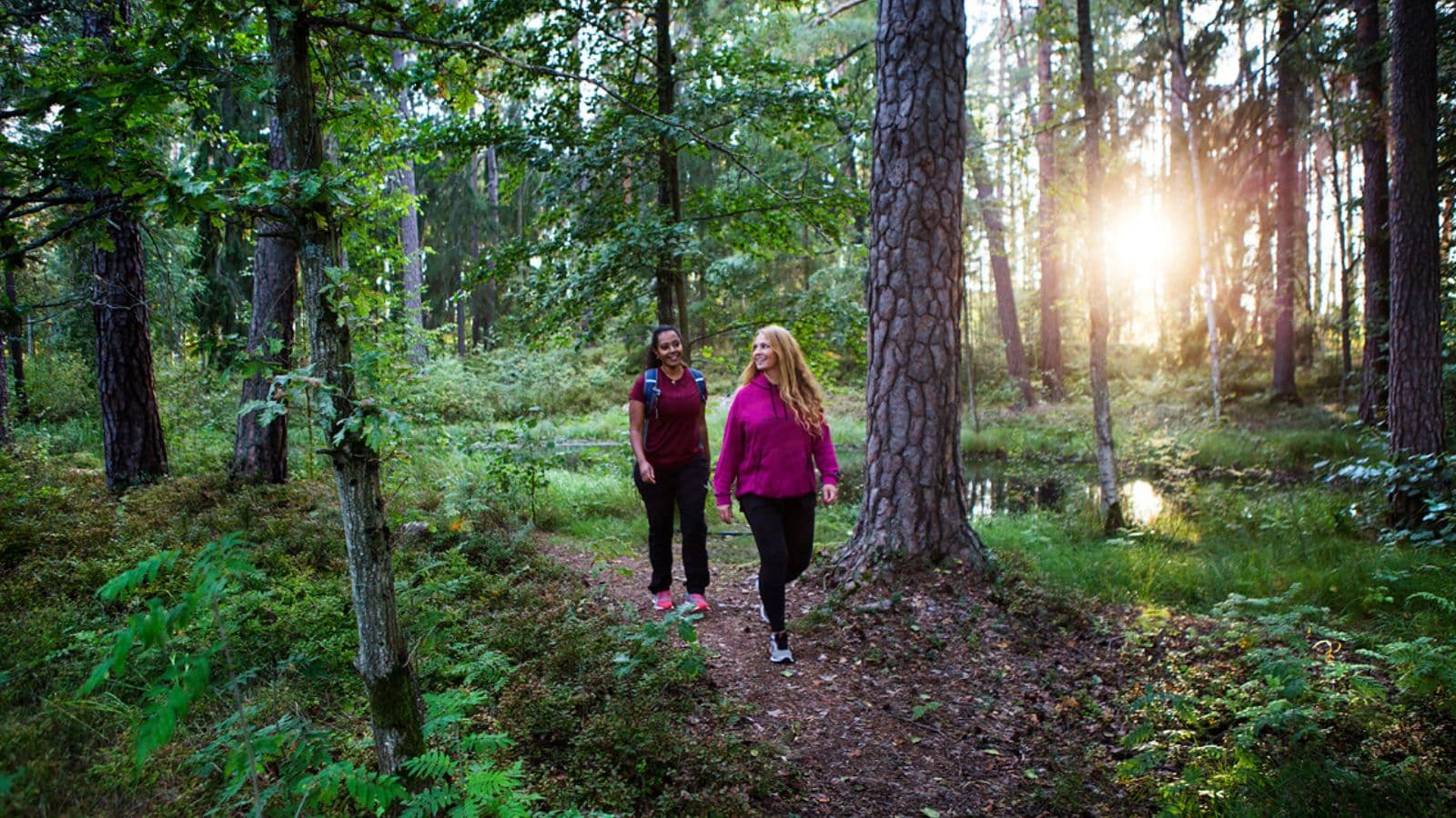 Høstens aktiviteter både ute og inne - Visit Greater Oslo